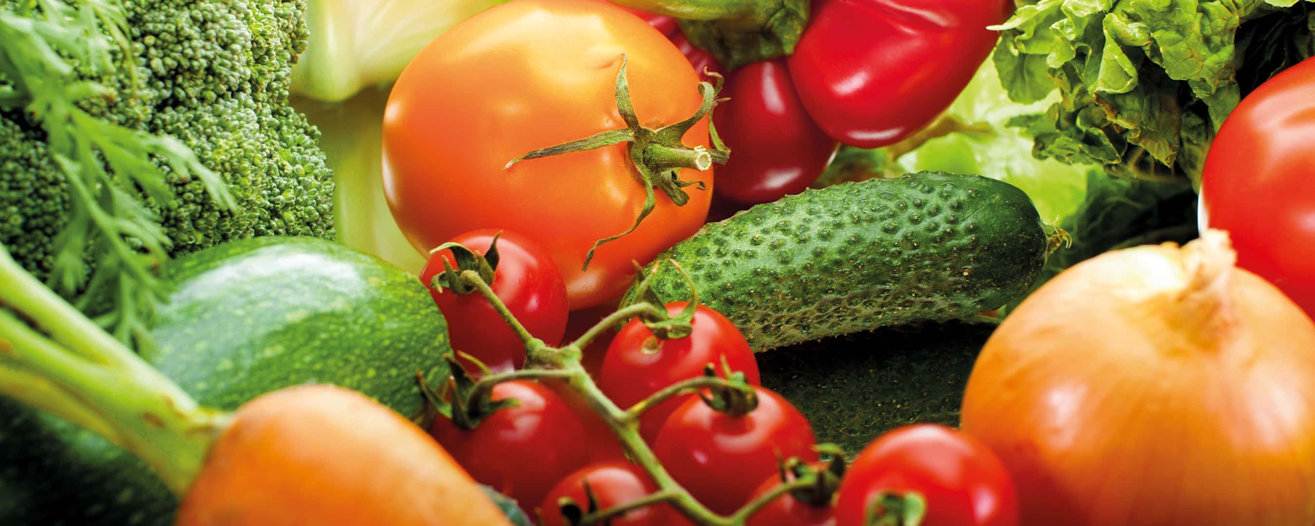 Fabre Graines : Vente de Graines, Semences pour jardin